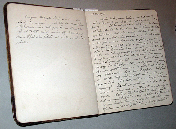 Un siglo después, los “Libros negros” de Jung serán finalmente publicados – Diario Clarín | ADEPAC